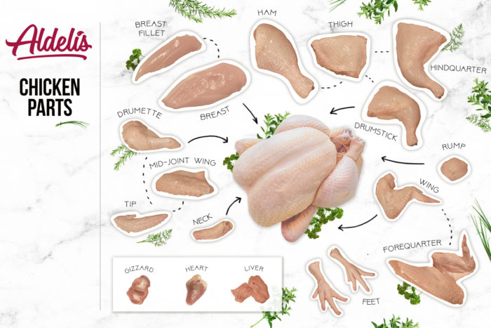 CHICKEN PARTS: CHOOSE THE BEST ACCORDING TO THE OCCASION OR TYPE OF ...