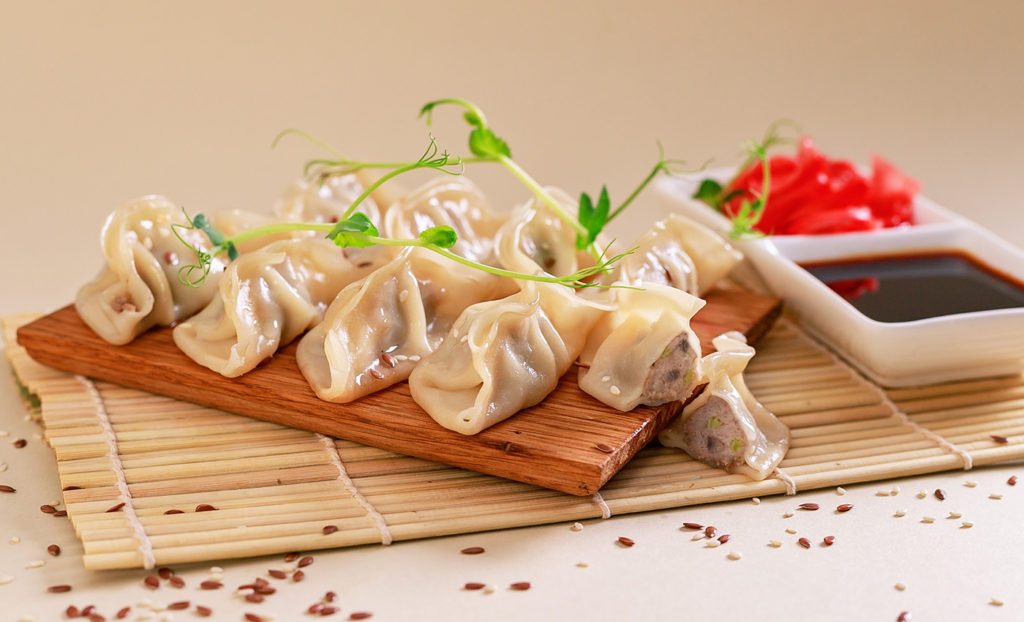 GYOZAS DE POLLO CON VERDURITAS - Aldelís