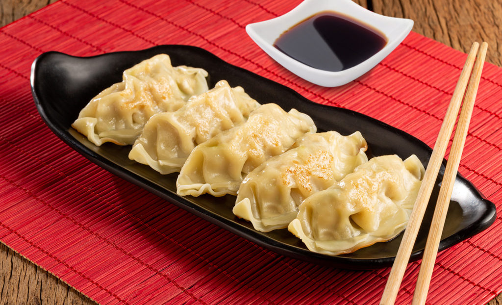 CHICKEN GYOZAS WITH VEGETABLES - Aldelís